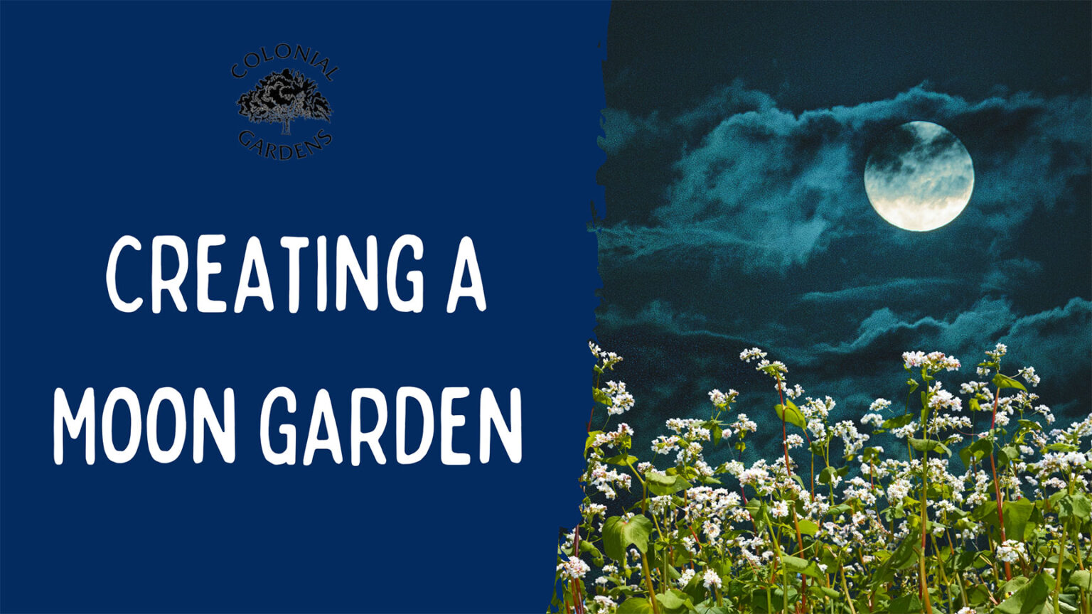 Creating a Moon Garden - Colonial Gardens