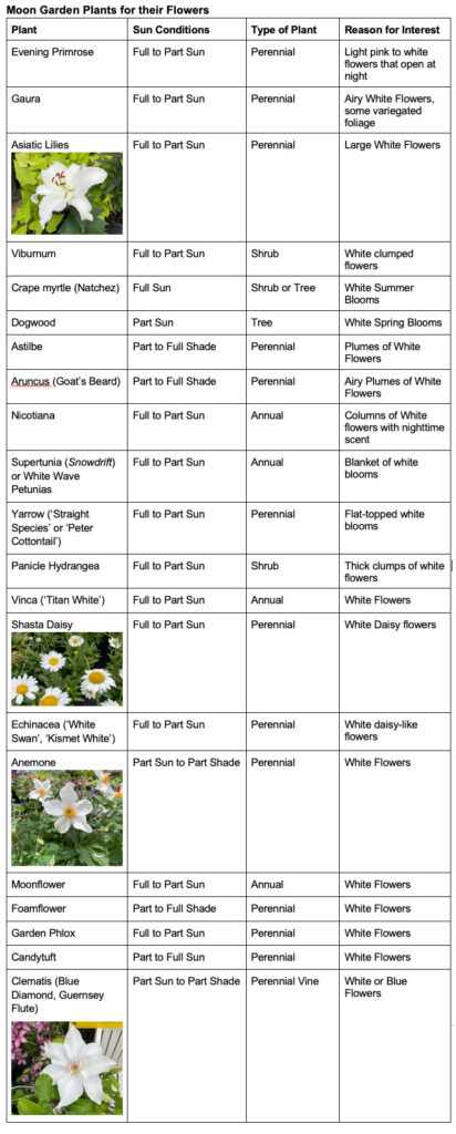 Creating a Moon Garden - Colonial Gardens